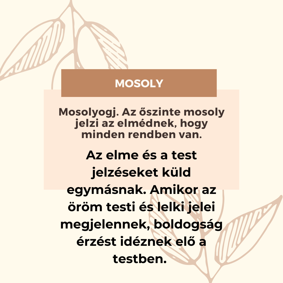 Tudatos Jelenlét – Meditációk – Mosoly – Légzés. Mozgás. Terápia.